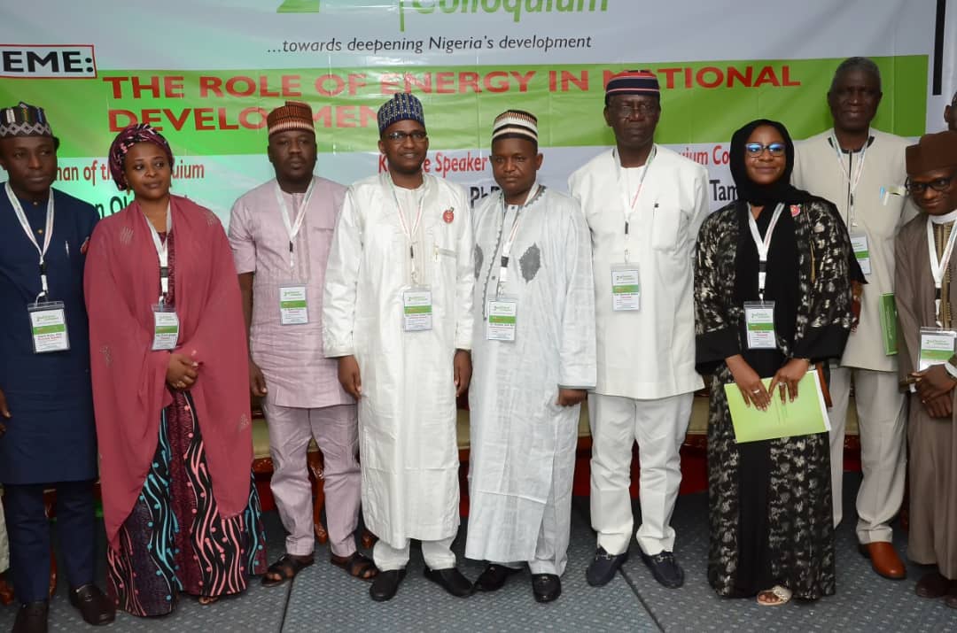 Experts Identified The Biggest Challenges In Nigerian Energy Sector ...
